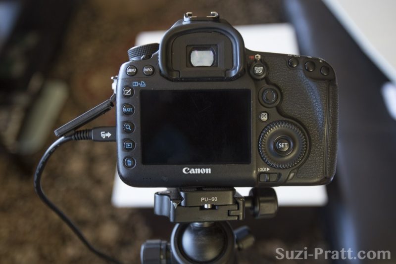Shoot Tethered with Canon DSLR Controller - Intrepid Freelancer